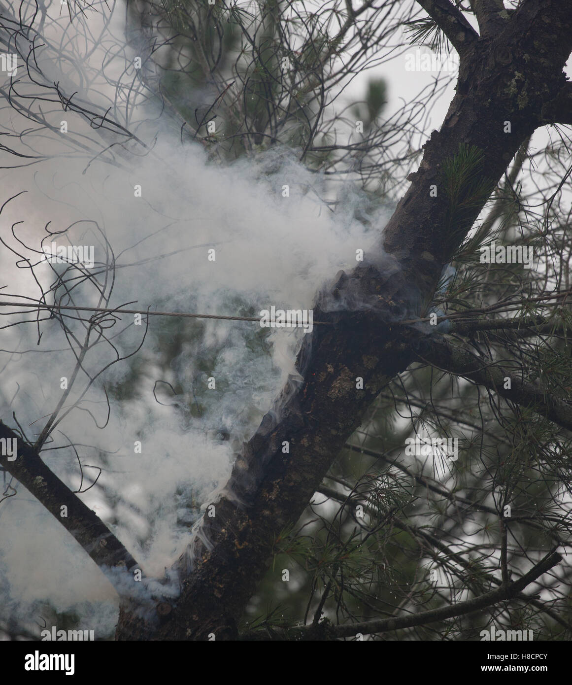 Electric lines sparks hi-res stock photography and images - Alamy