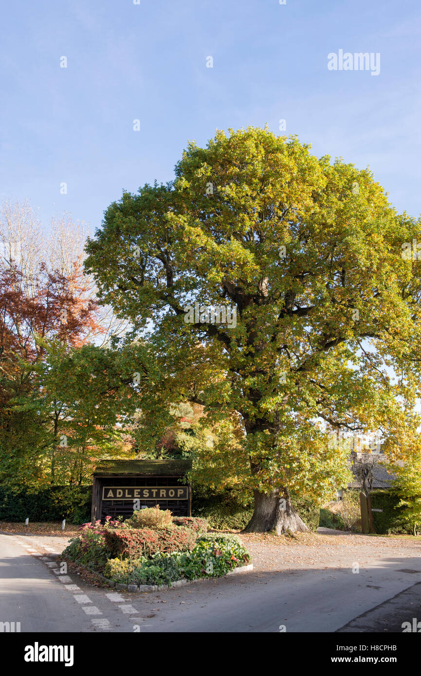 Adlestrop sign and bus shelter in autumn. Adlestrop. Cotswolds ...