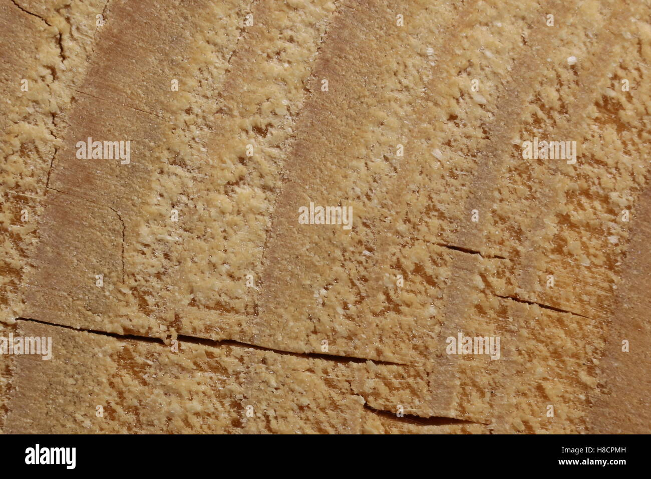 Grain structure hi-res stock photography and images - Alamy