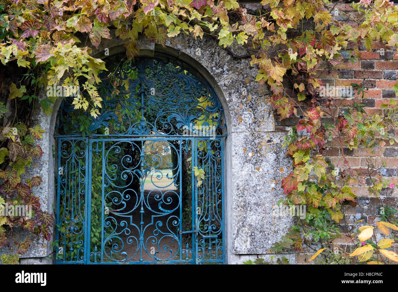Wrought Iron Vine Grape High Resolution Stock Photography and Images ...