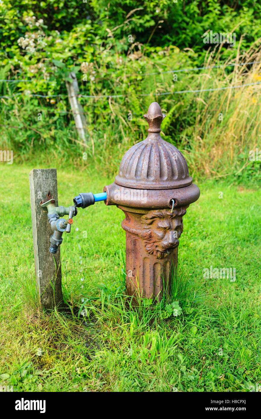 Vintage cast iron water hydrant Stock Photo - Alamy