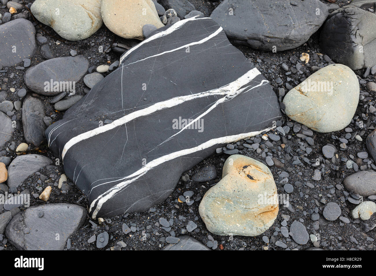 Banded basalt and slate on beach at Cullipool, Luing Stock Photo - Alamy