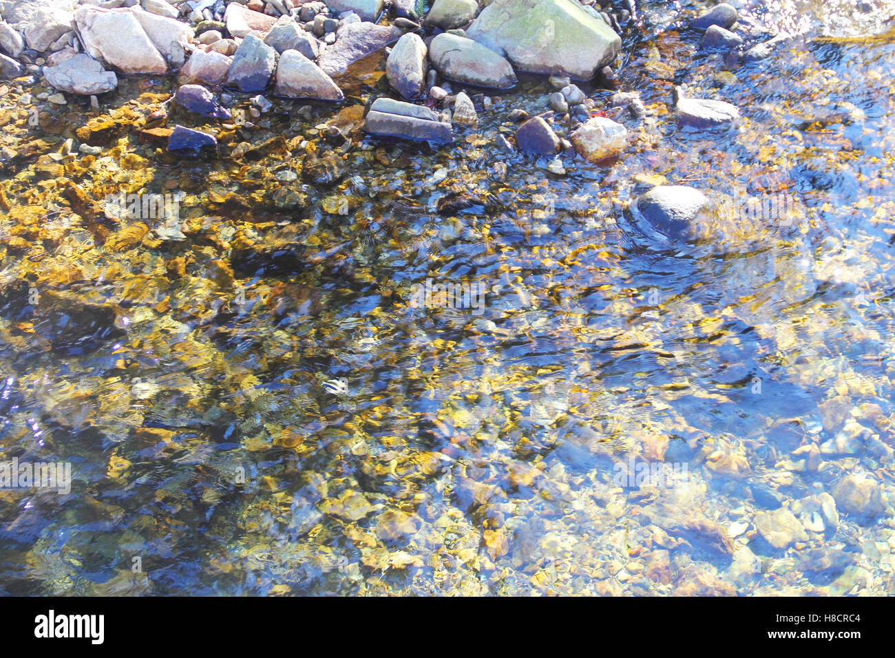 Stones in water of pure river close-up view Stock Photo - Alamy