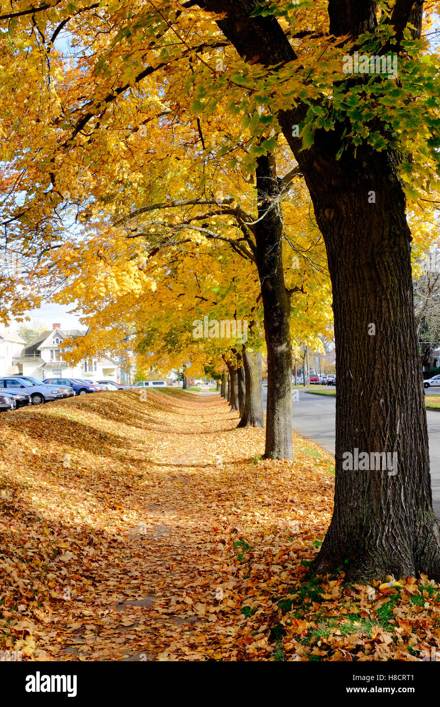 Spokane autumn hi-res stock photography and images - Alamy