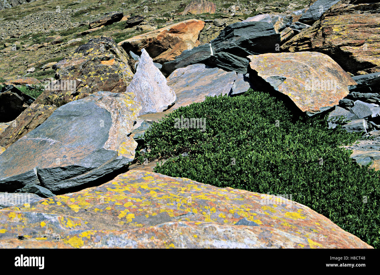 Mosaic of colorful rocks in Zermatt area Switzerland Stock Photo - Alamy