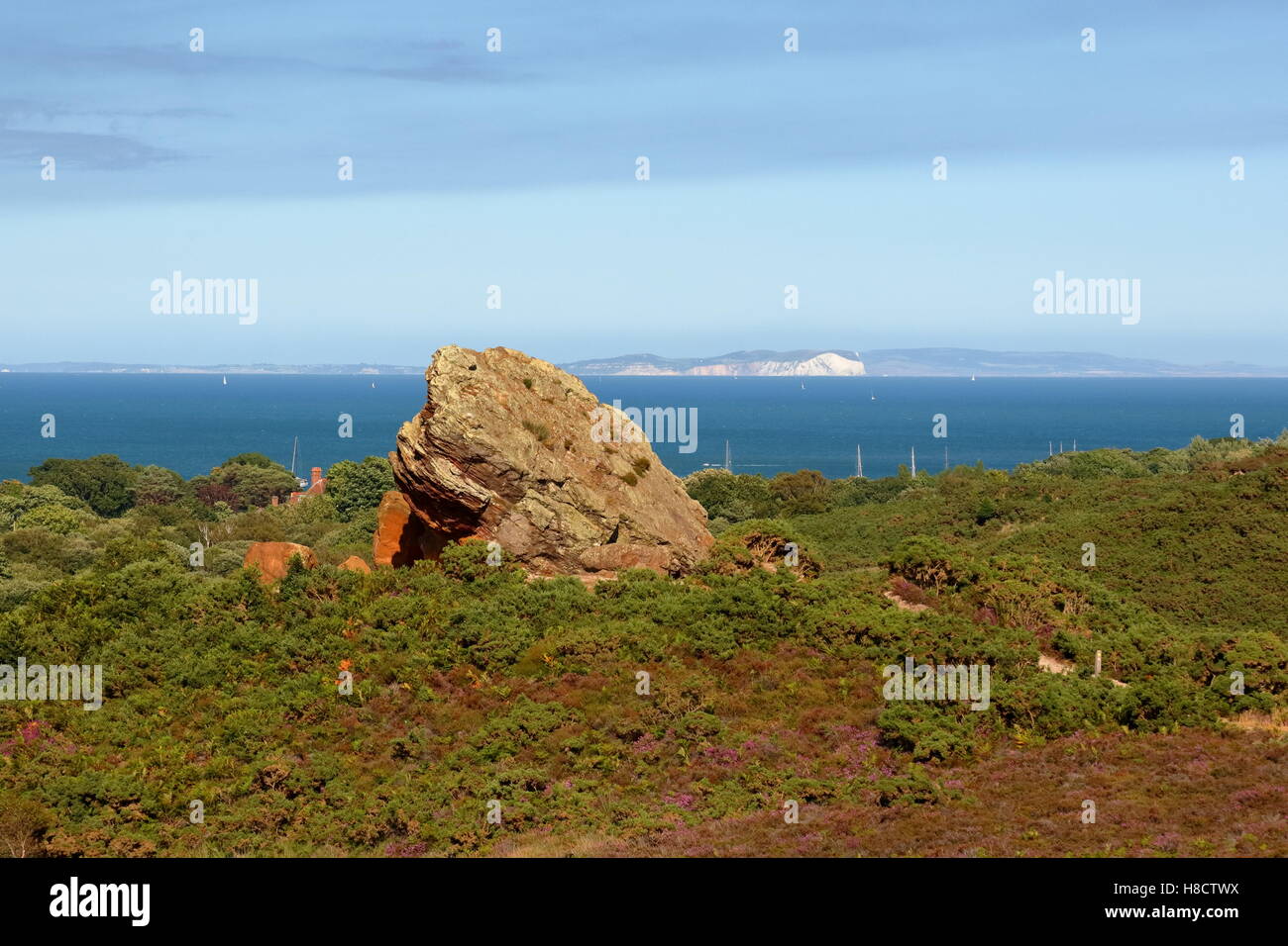 Agglestone Rock (Devil's Anvil) very prominent on Godlingstone Heath of ...