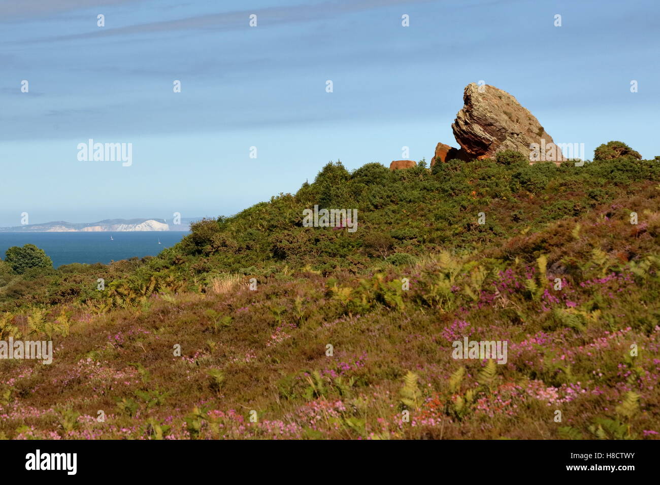 Agglestone Rock (Devil's Anvil) very prominent on Godlingstone Heath of ...