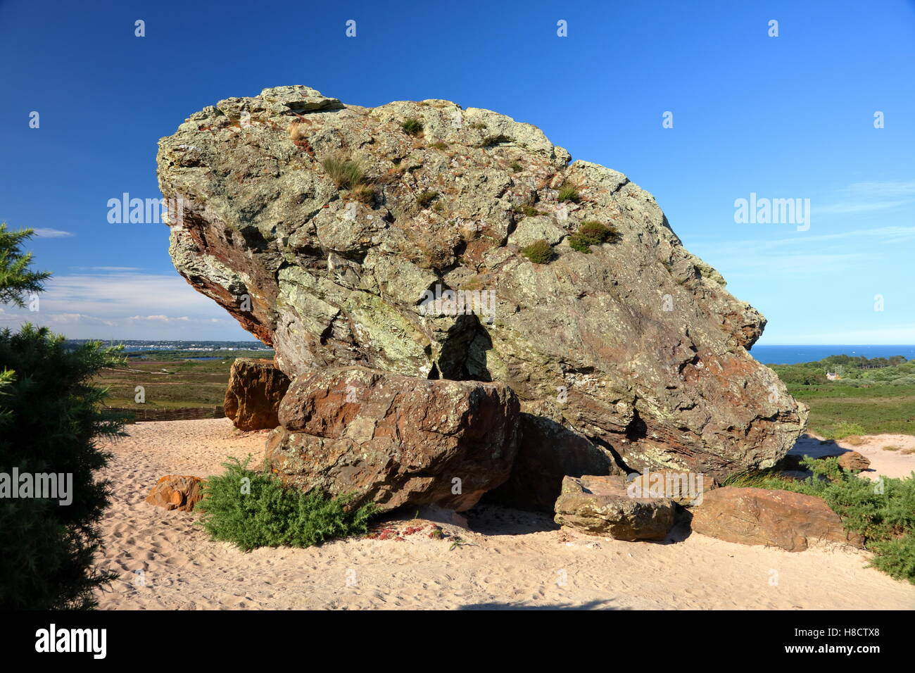 Agglestone Rock (Devil's Anvil) very prominent on Godlingstone Heath of ...