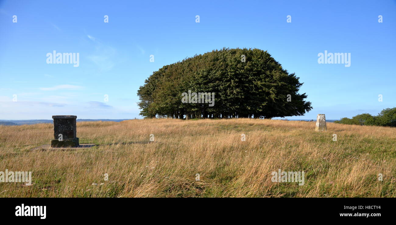 Shaftesbury wiltshire hi-res stock photography and images - Alamy