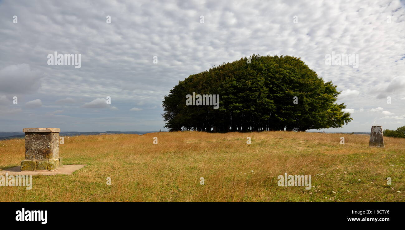 Morning on Win Green Hill, Cranborne Chase. This is a grand viewpoint ...