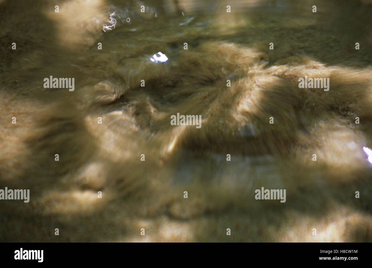 Muddy spring waters Stock Photo - Alamy