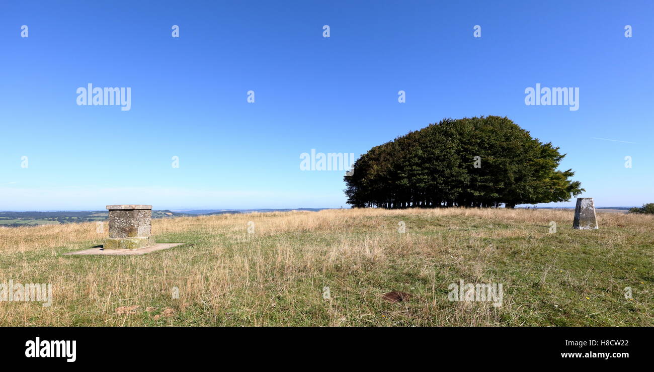 Morning on Win Green Hill, Cranborne Chase. This is a grand viewpoint ...