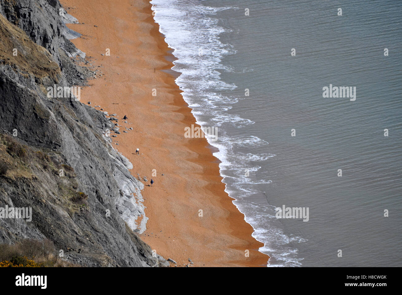 Orange sandy beach and rocky grey cliffs on the Jurassic Coast of ...