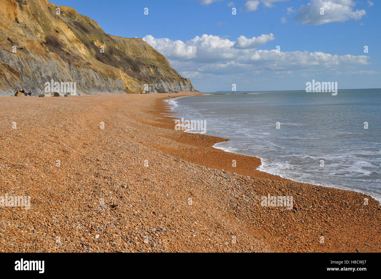 Shingle beach on Jurassic Coast of Dorset Stock Photo - Alamy