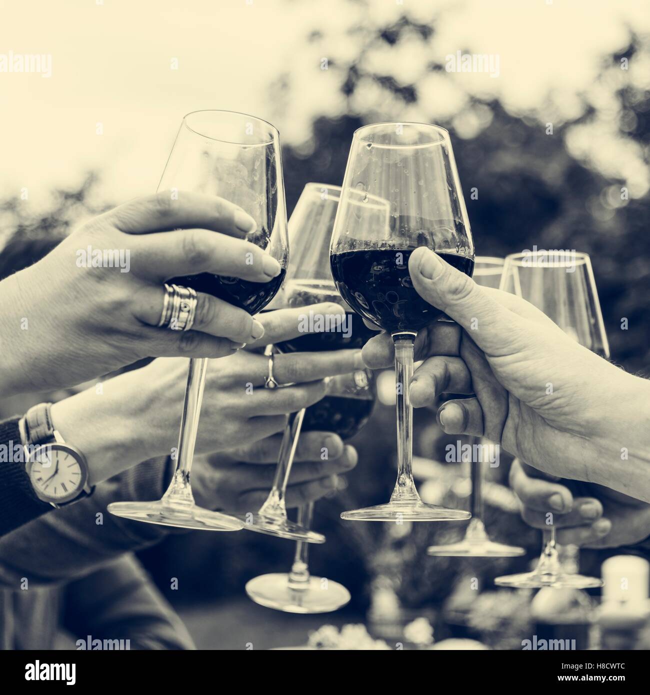 Group Of People Cheers Concept Stock Photo - Alamy