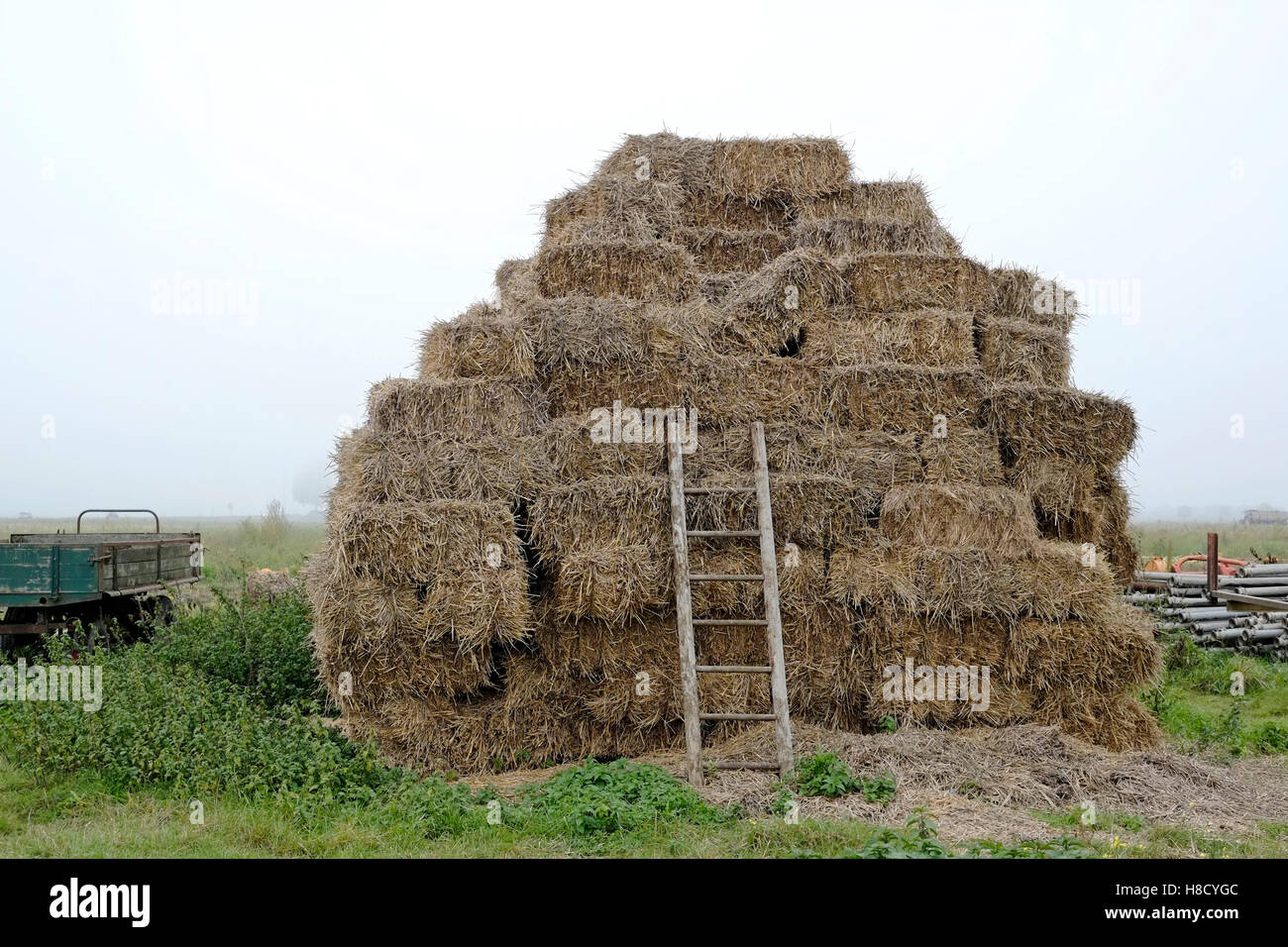 Haystack and ladder Stock Photo - Alamy