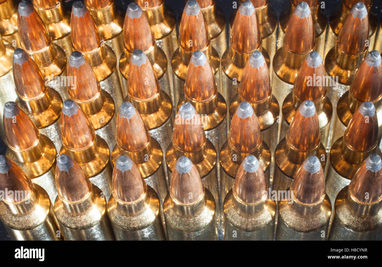Brass and orange colored cartridges in a long lineup Stock Photo - Alamy