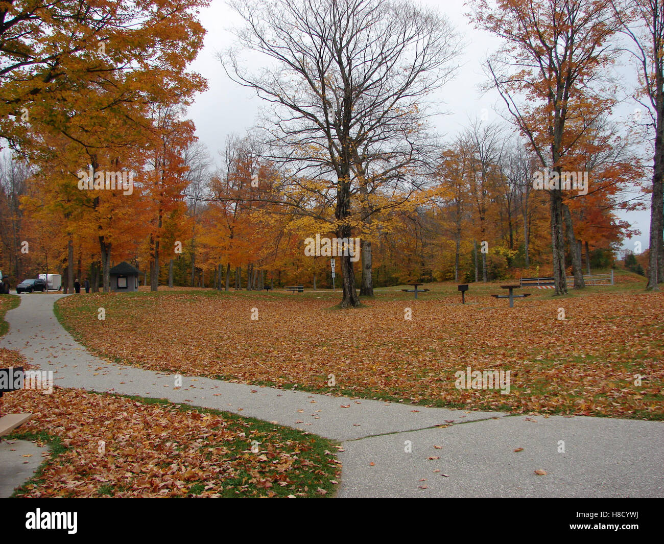 Fall Scene showing a Rest Area Stock Photo - Alamy