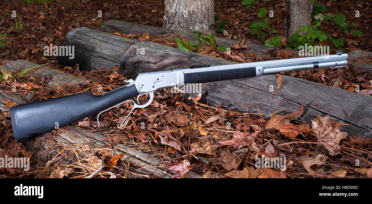 Stainless steel lever action rifle on logs in the fall Stock Photo - Alamy