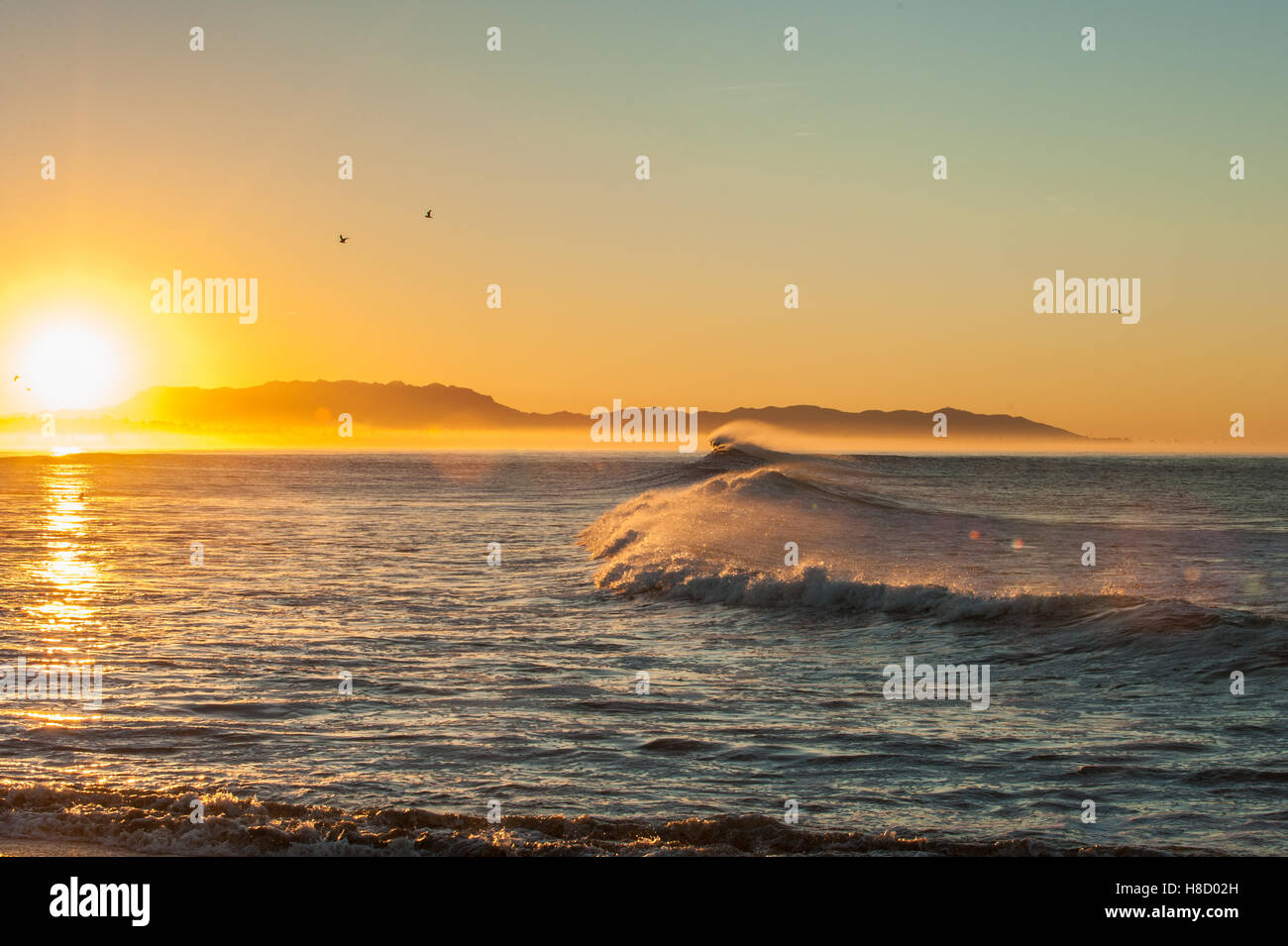 Sun rising behind offshore wind blown waves Stock Photo - Alamy