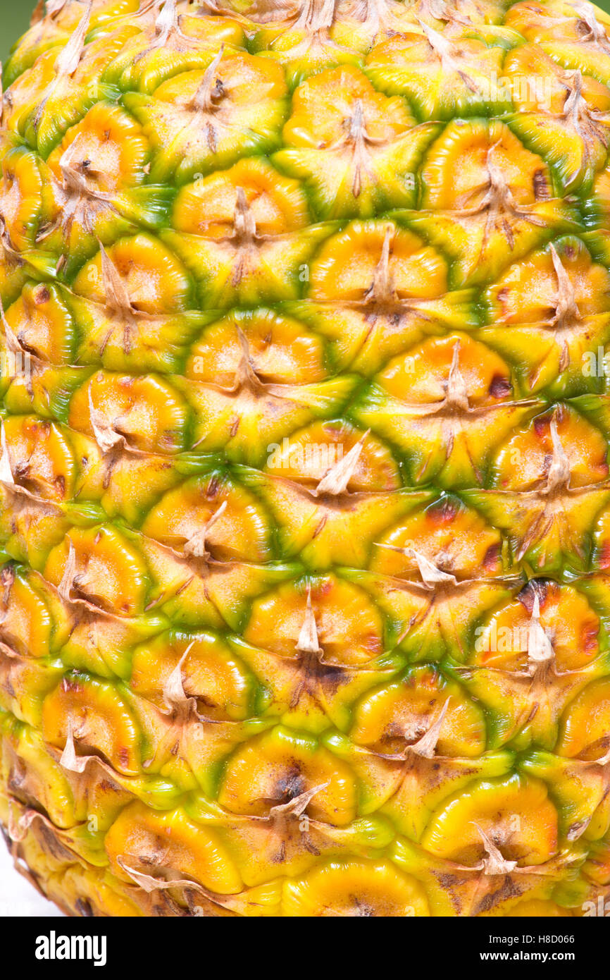 Pineapple texture skin scales hi-res stock photography and images - Alamy