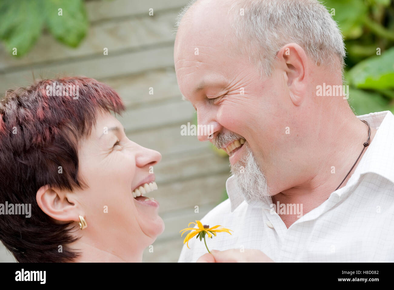 Happy elderly couple, 50+ Stock Photo - Alamy