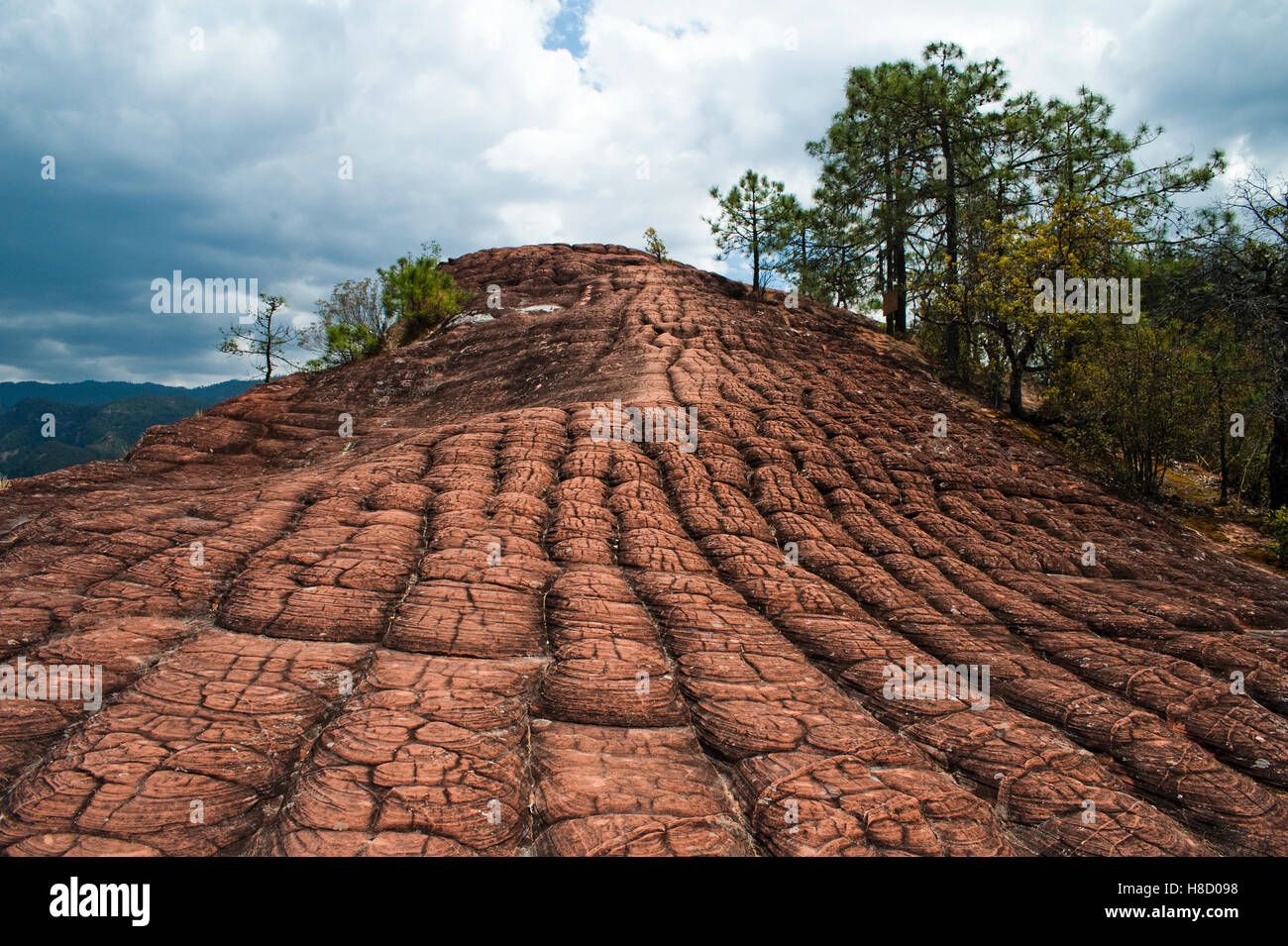 Mountain of 1000 turtles, sandstone, Qianguishan, Liming, China, Asia ...