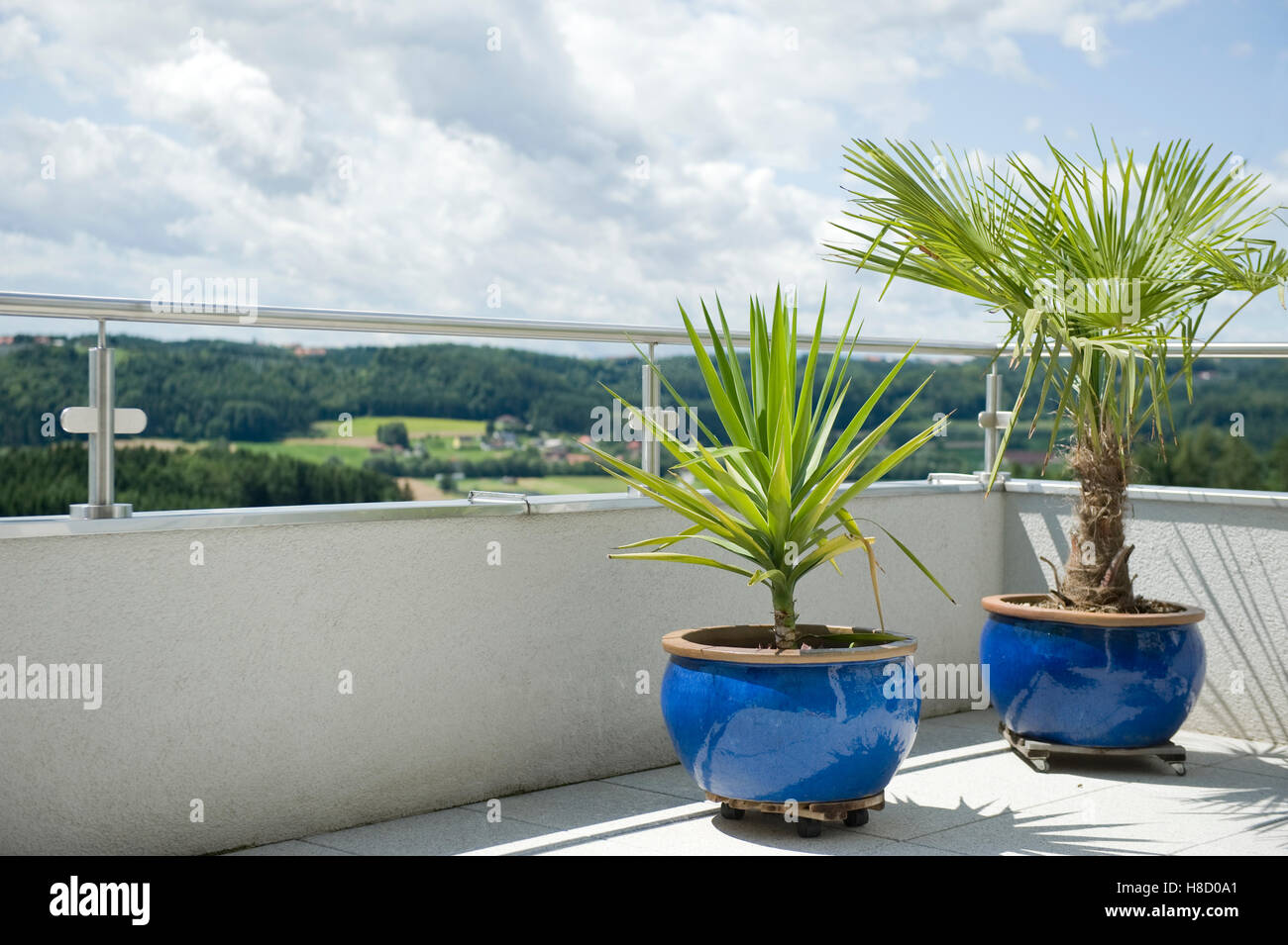 Terrace with pot plants Stock Photo - Alamy
