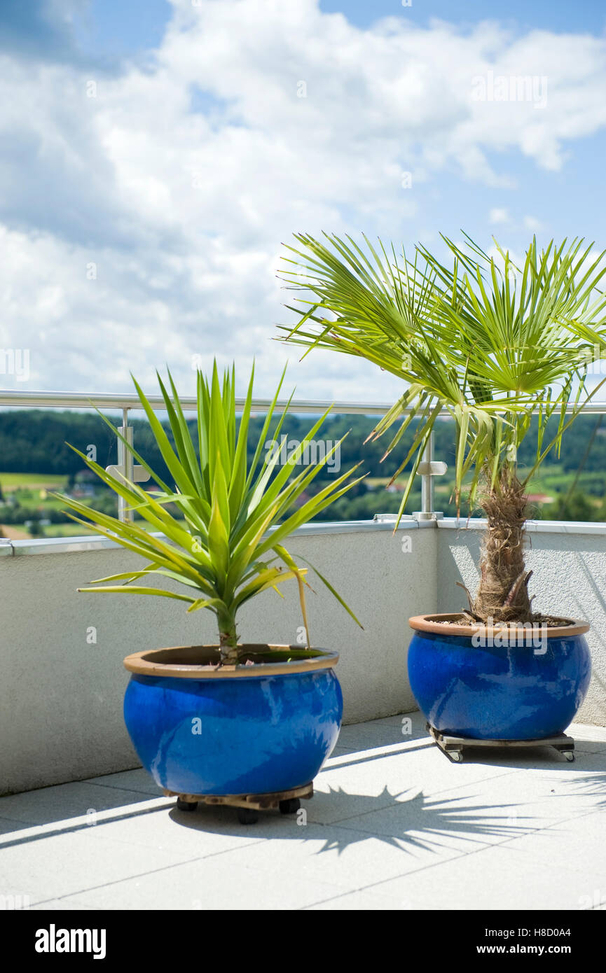 Terrace with pot plants Stock Photo - Alamy