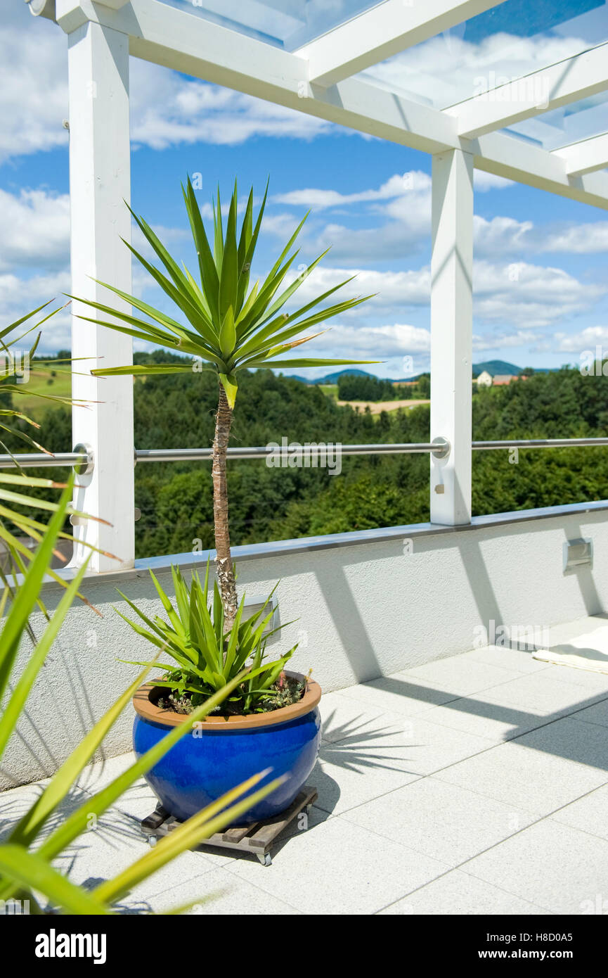 Terrace pot hi-res stock photography and images - Alamy