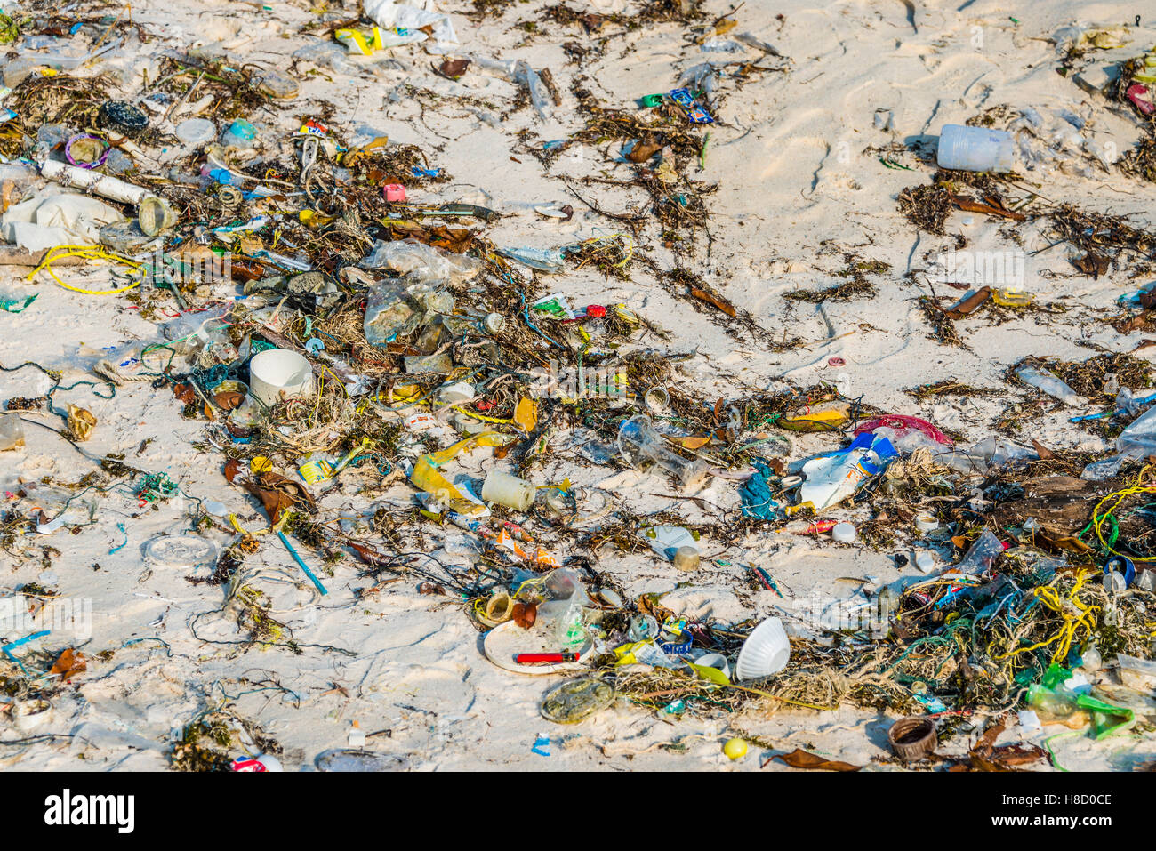 Trash strewn on Long Beach, Sok San Village, Koh Rong Island, Krong ...