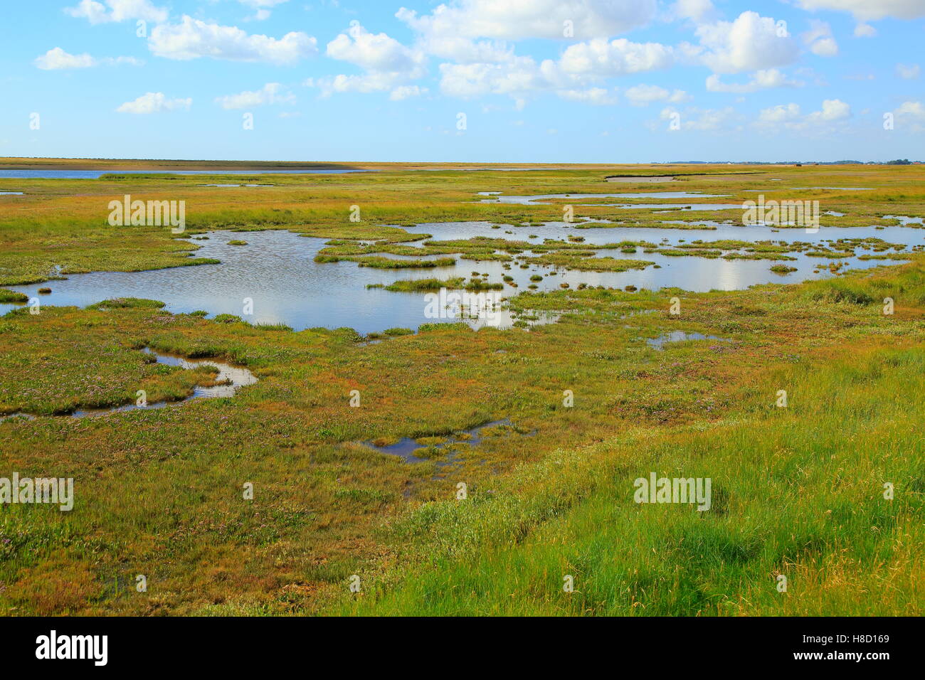 River Ore salt marsh and Orford Ness spit, looking north towards Orford ...