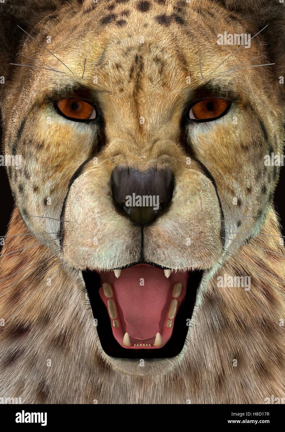 3D rendering of a head of a cheetah, closeup Stock Photo - Alamy
