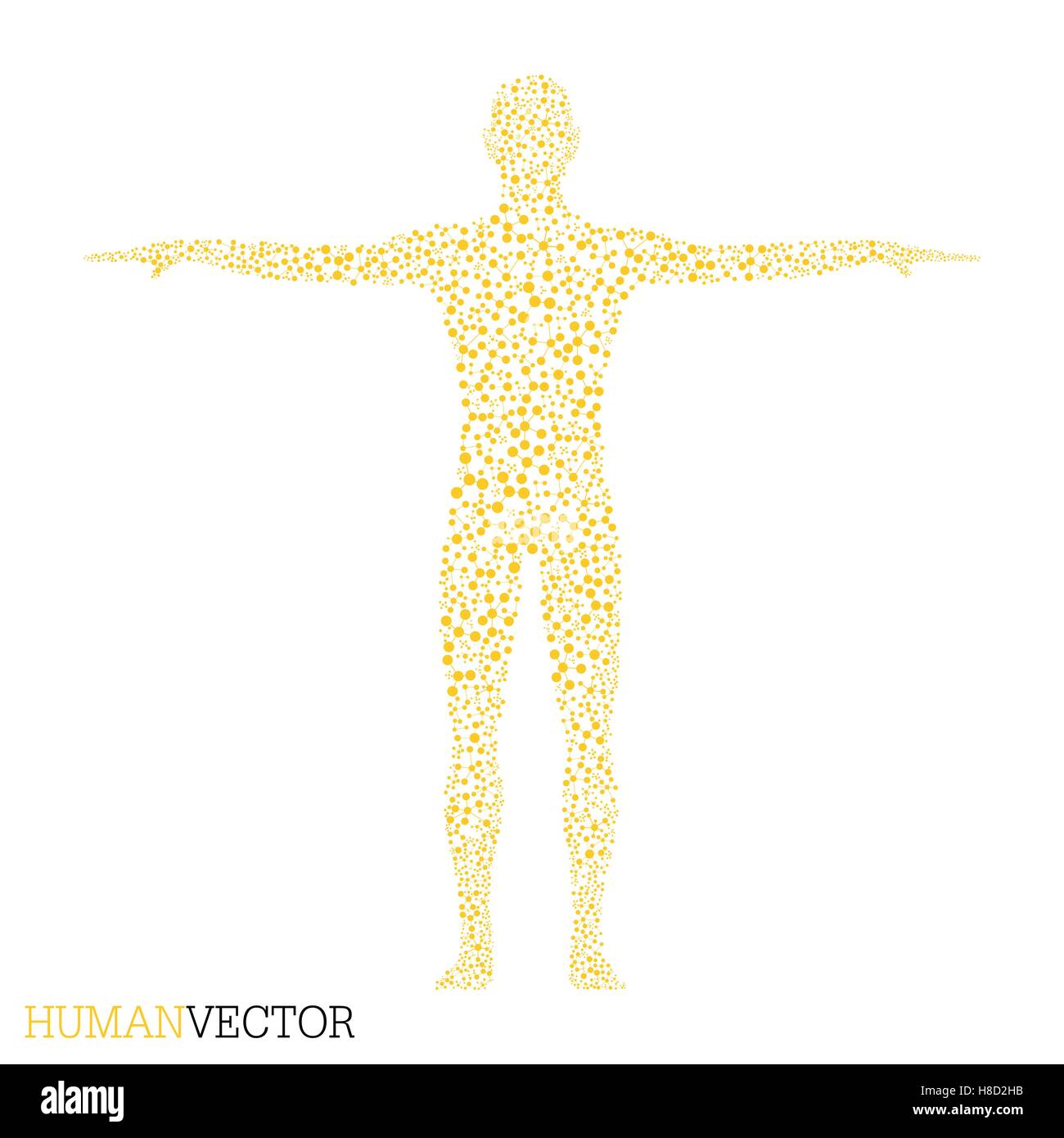 Human. Structure molecule of man. Vector illustration. Medicine ...