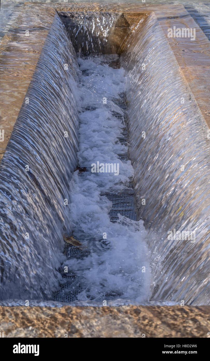 urban landscape water canal in the park Stock Photo - Alamy