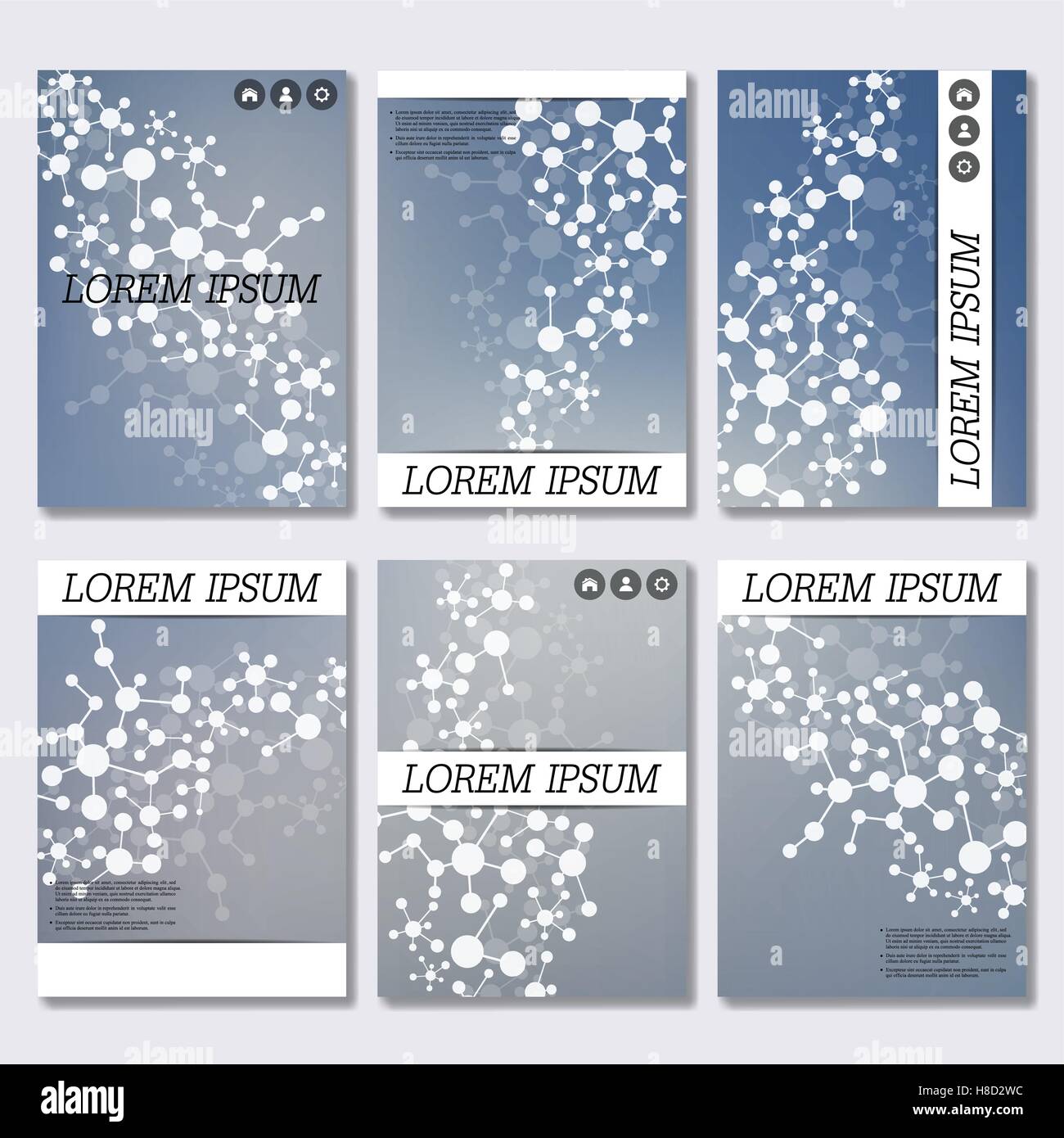 Vector brochure template, flyer, cover magazine in A4 size. Structure ...