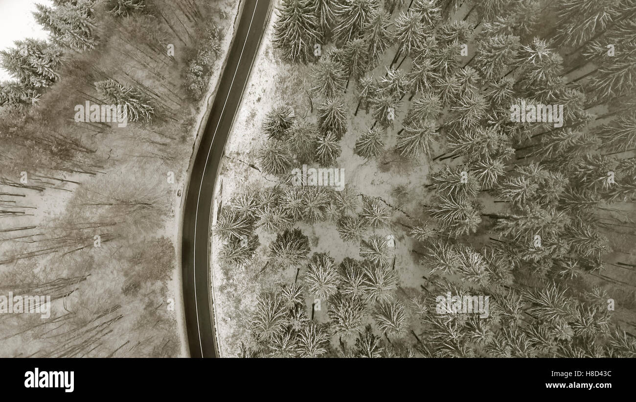 aerial view of winter forest with frosty trees, with low clouds Stock ...