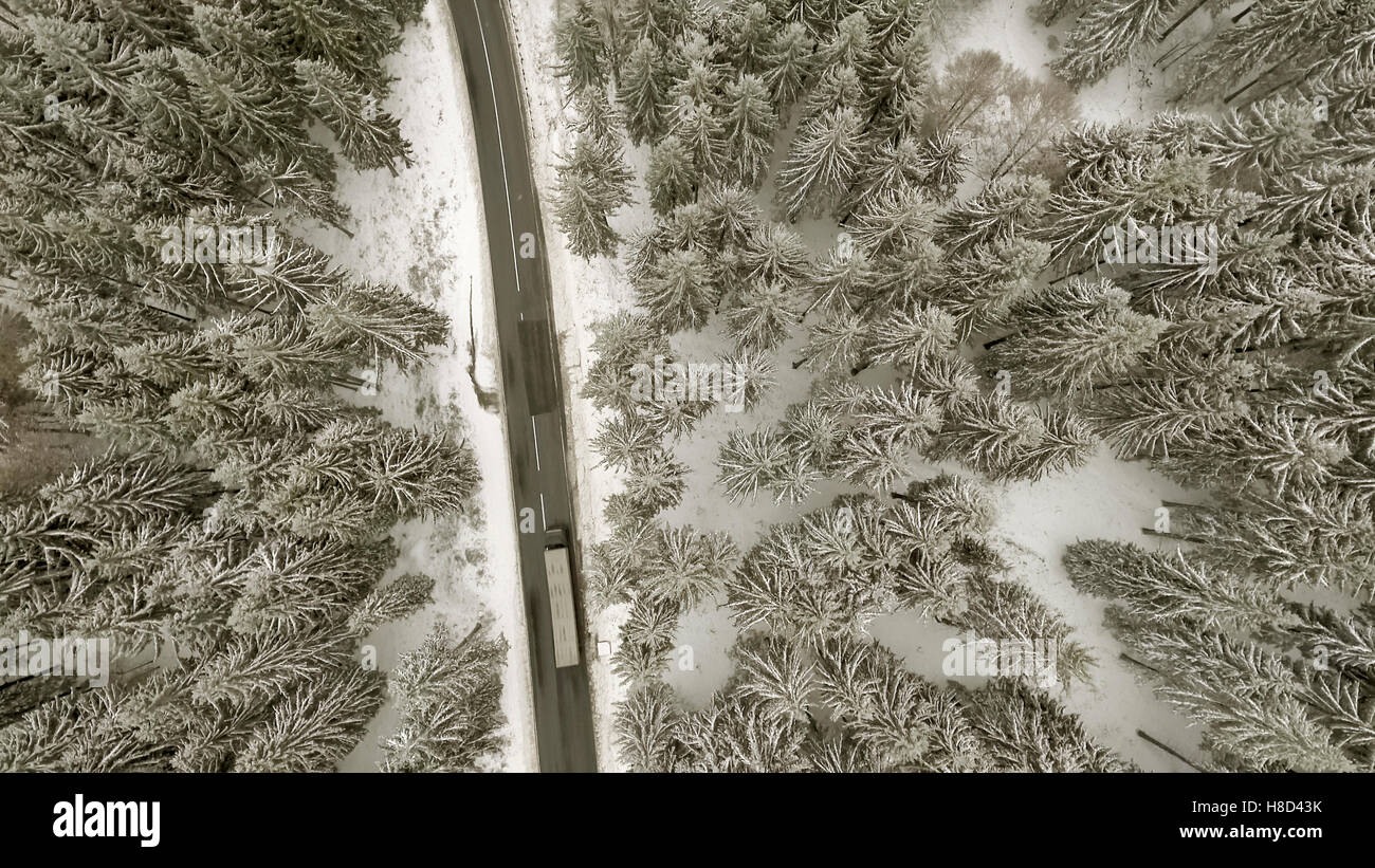 aerial view of winter forest with frosty trees, with low clouds Stock ...