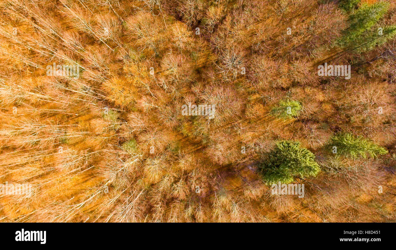 Aerial fly over forest mountain hi-res stock photography and images - Alamy
