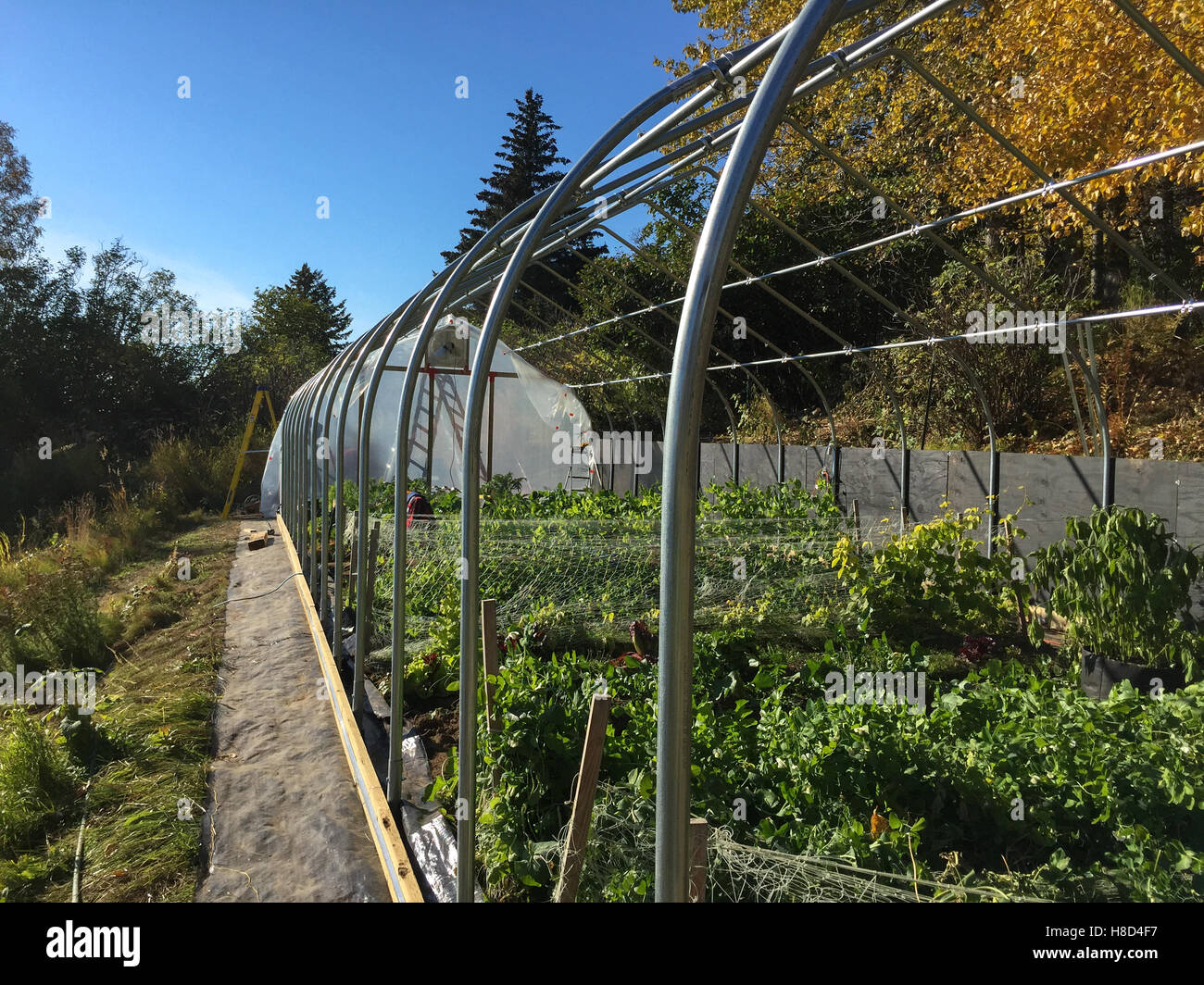 High Tunnel Construction High Tunnel And Snow! — Hartwood Farm
