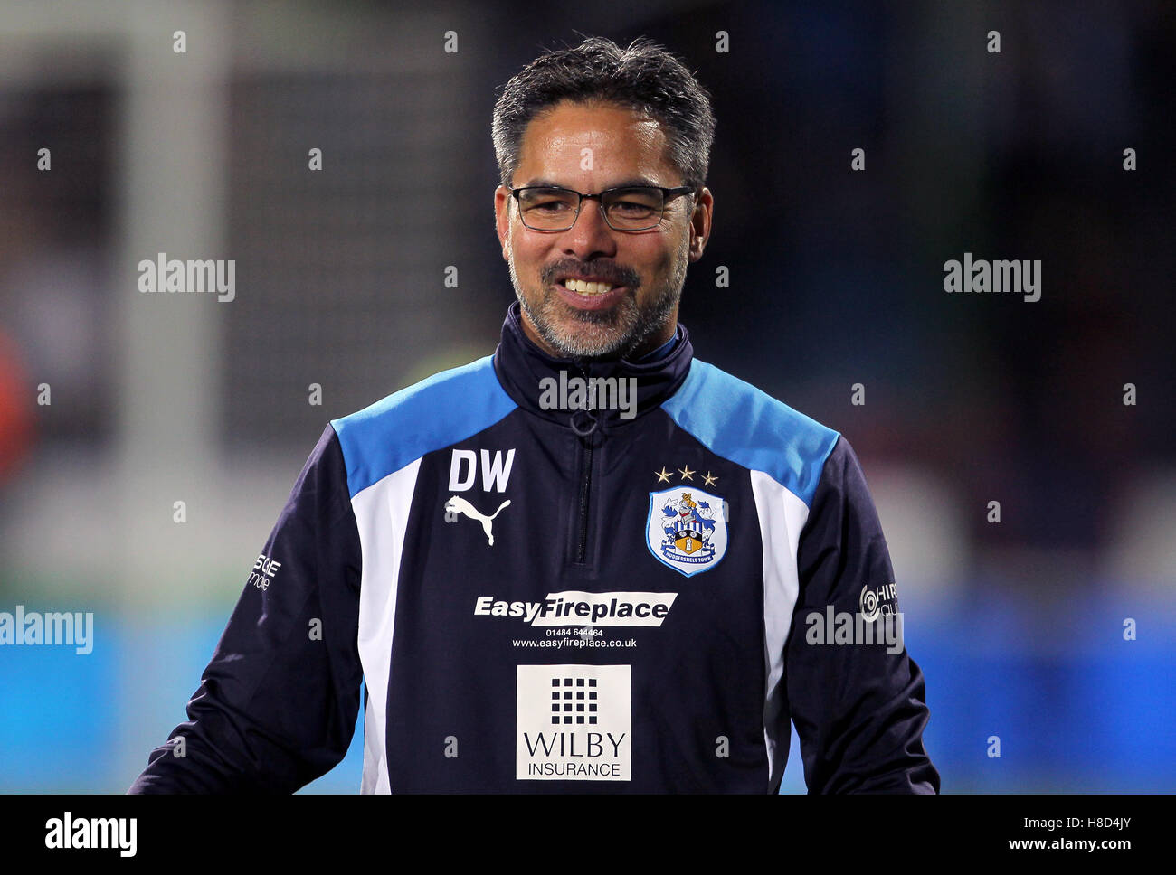 Huddersfield Town manager David Wagner celebrates Stock Photo - Alamy