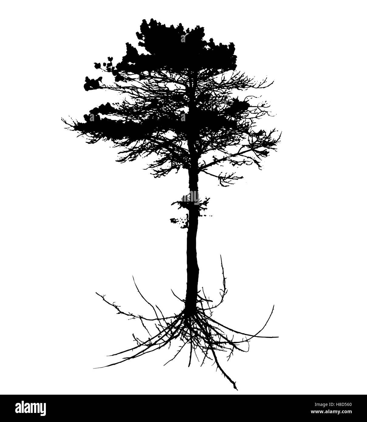 Tree on isolated cut Stock Vector Images - Alamy