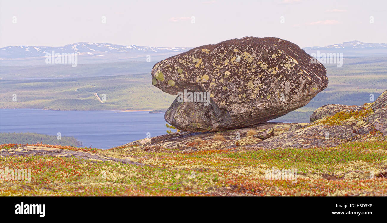 Primal form hi-res stock photography and images - Alamy