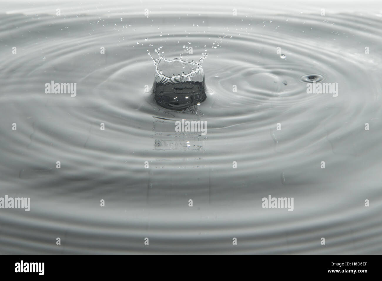 Water drop falling into water making a concentric circles Stock Photo ...