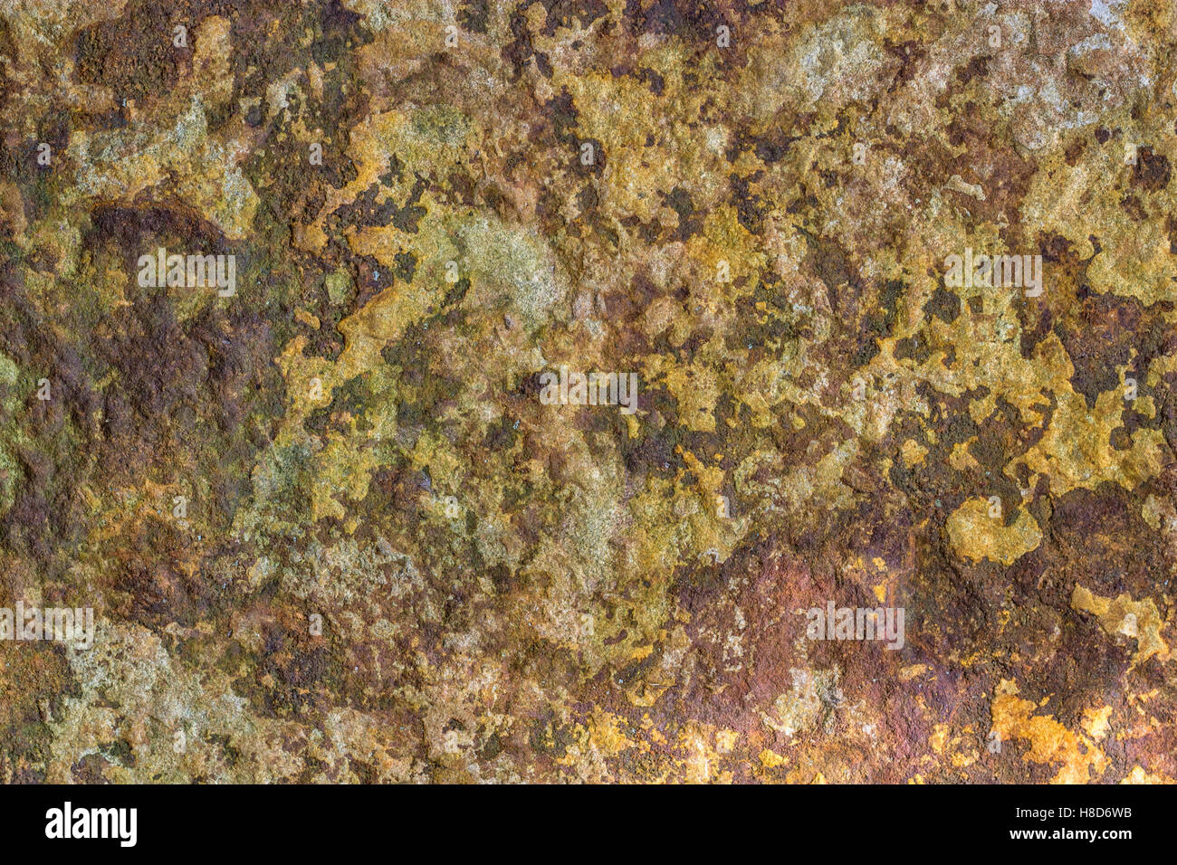 Stone surface background closeup hi-res stock photography and images ...