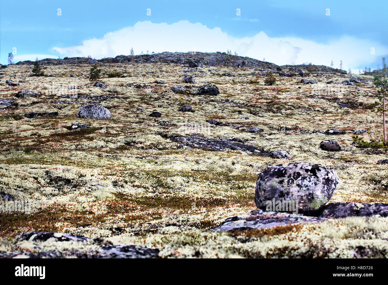 Lapland tundra finland hi-res stock photography and images - Alamy