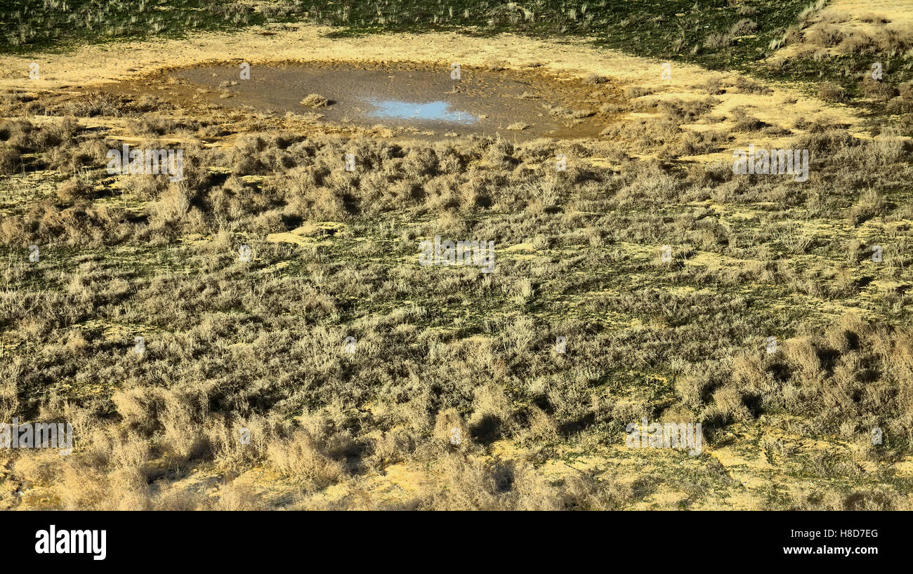 Drought. Slowly drying pond in desert, where there was watering place ...