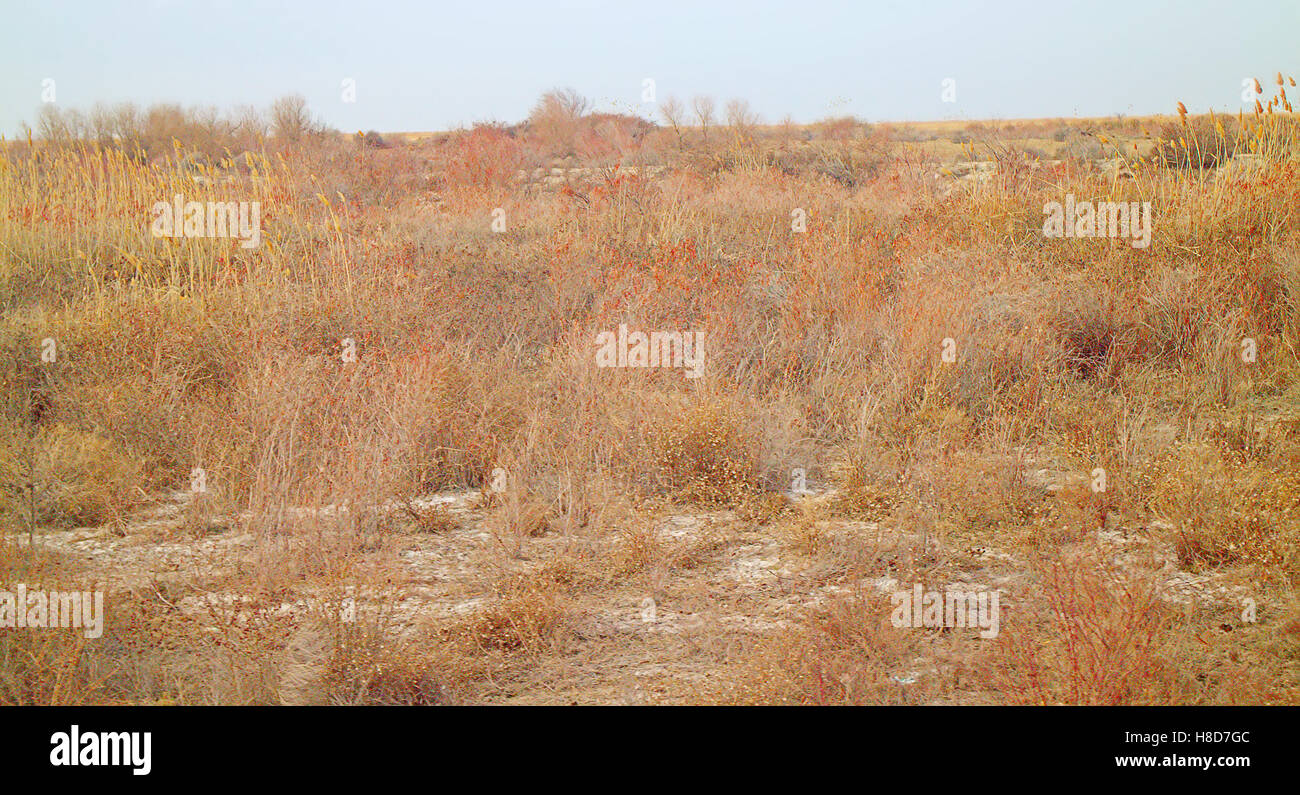 Agricultural fallow hi-res stock photography and images - Alamy