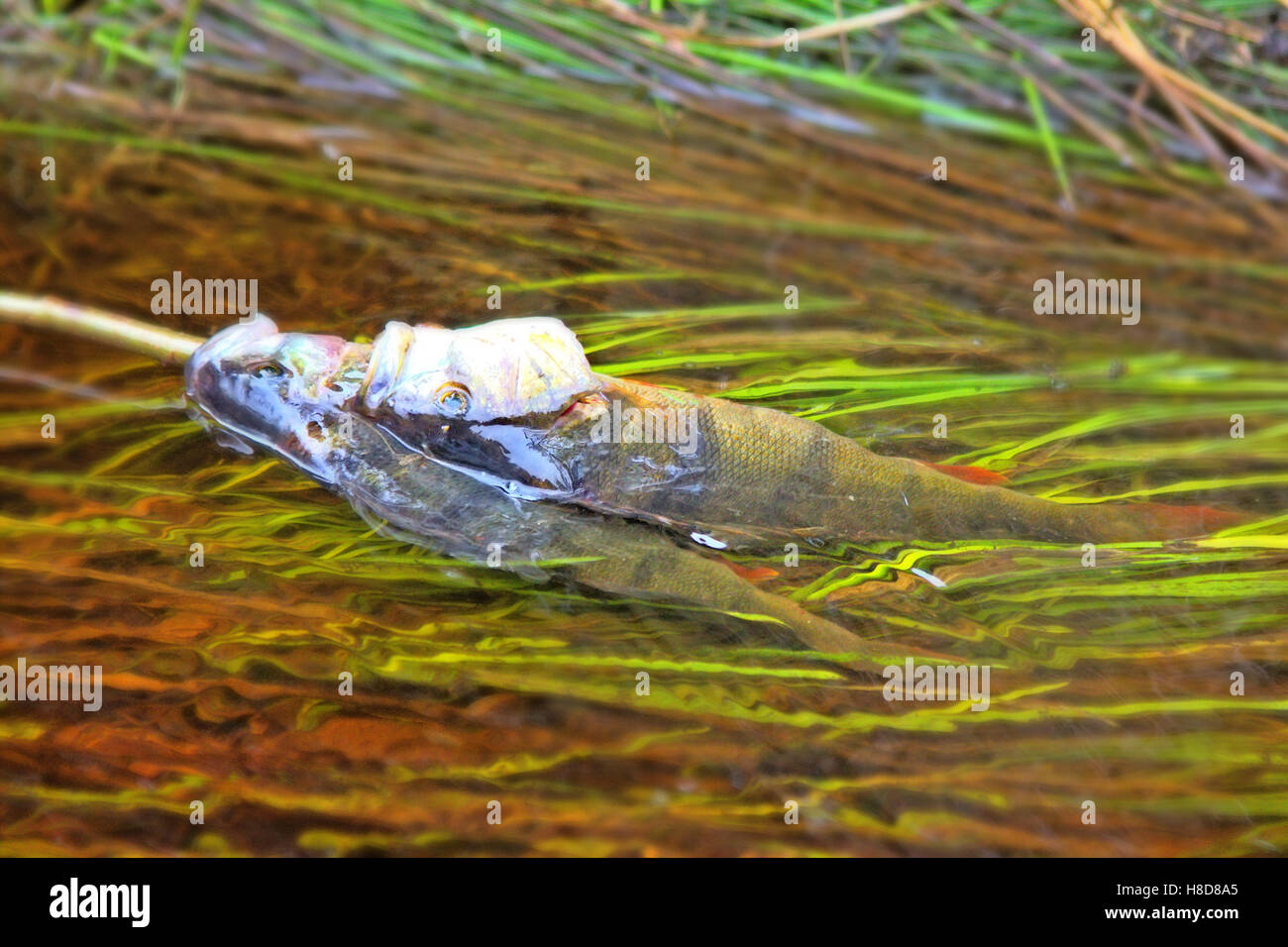 Old ways hi-res stock photography and images - Alamy