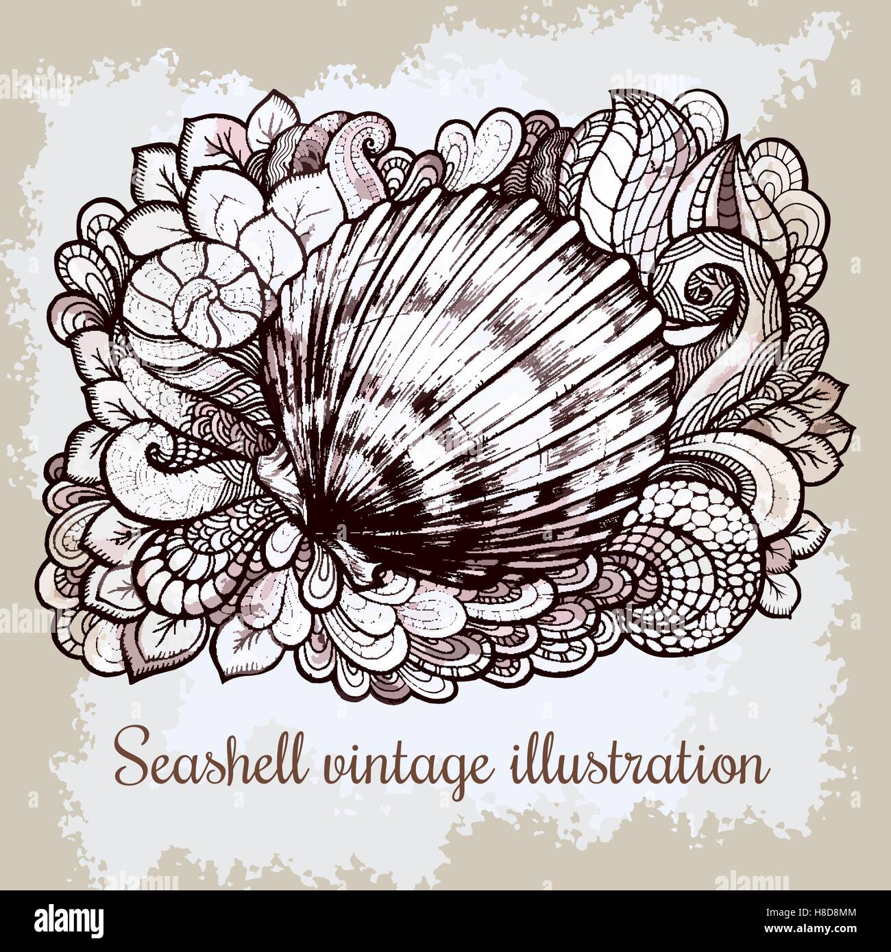 Zentangle stylized seashell line art coloredvintage style. Hand Drawn ...